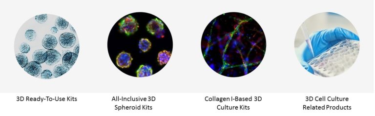 3D Cell Cultures – Caltag Medsystems