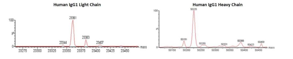 In vivo Grade Isotype Control Antibodies – Caltag Medsystems