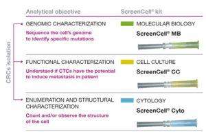 Improved Stabilisation, Isolation, and Characterisation of Circulating ...