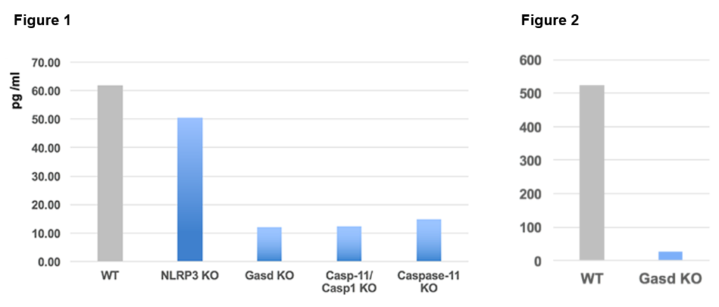 Inflammasomes and Gasdermin D Signaling Pathways – Caltag Medsystems