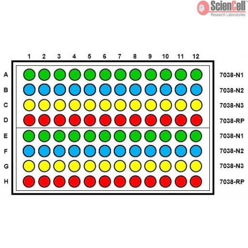 COVID-19/SARS-CoV-2 Detection Kits – Caltag Medsystems