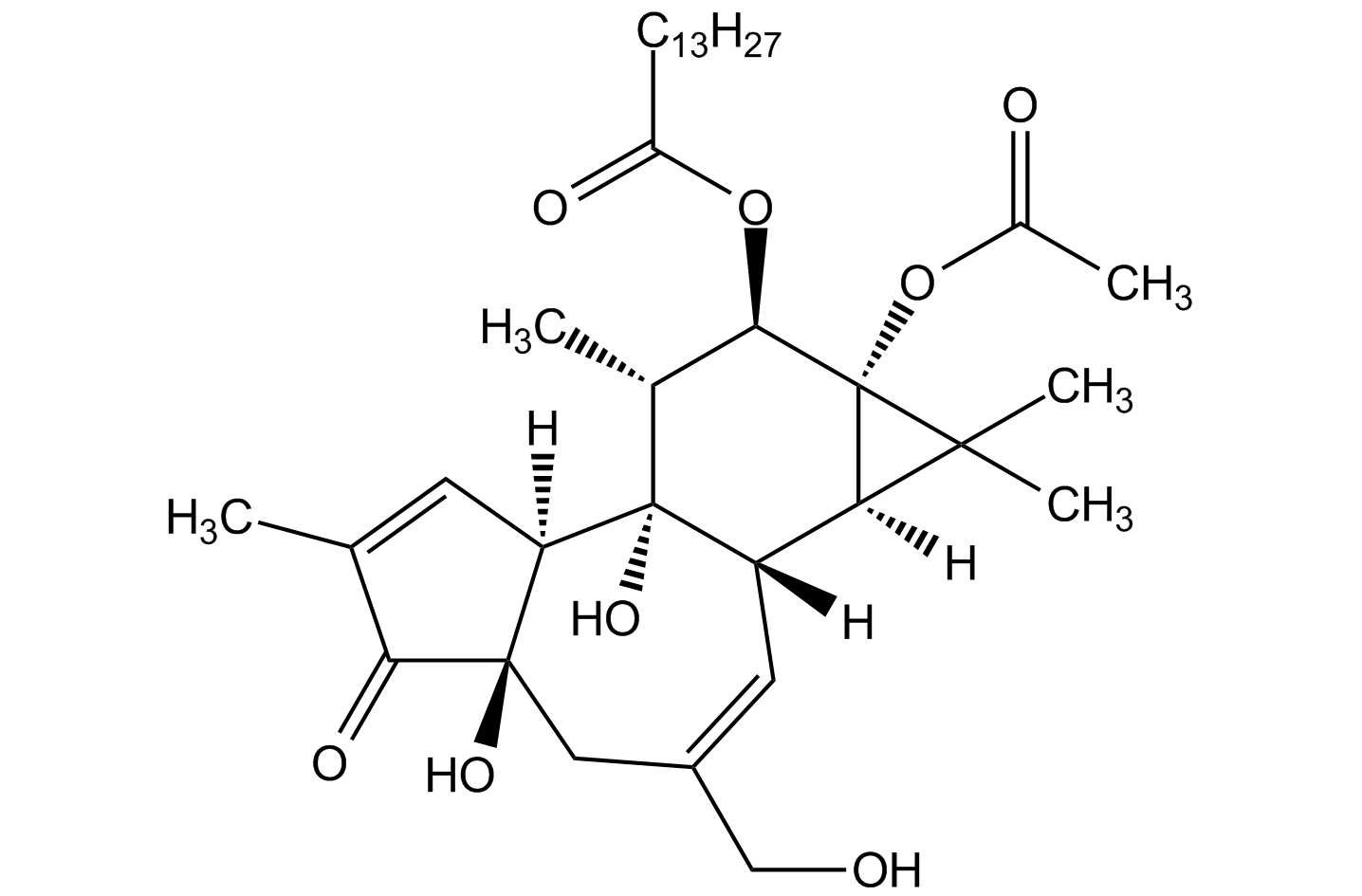 PMA – Standard Reagent for THP1 Cell Differentiation – Caltag Medsystems