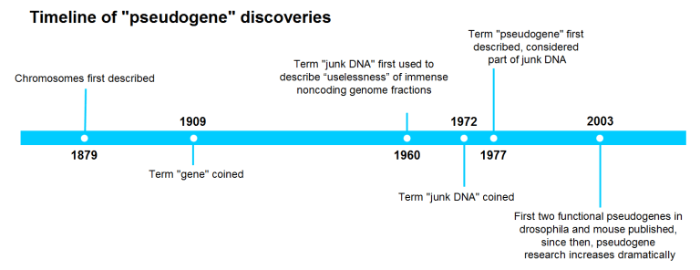 Why You Should Take “Pseudogenes” Seriously in Your Research – Caltag ...